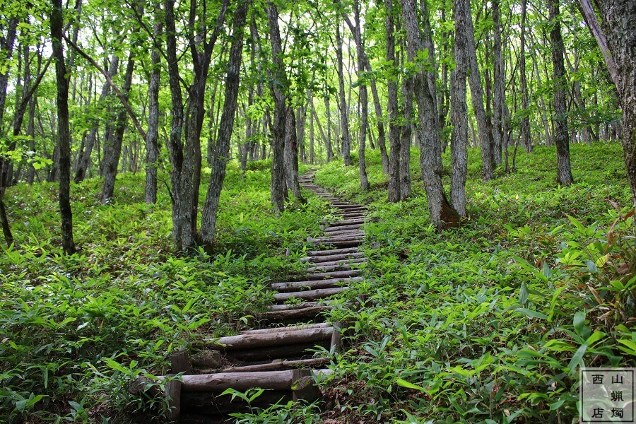 ycc5192 | etsuko field & 西山蝋燭工房