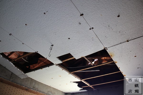 ycc7148 | アトリエetsuko fieldブログ