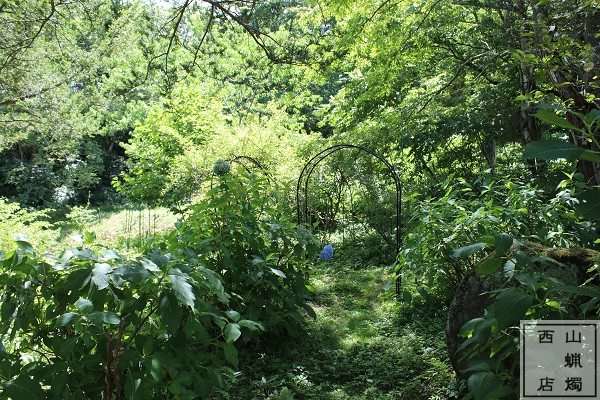 ycc7179 | アトリエetsuko field blog