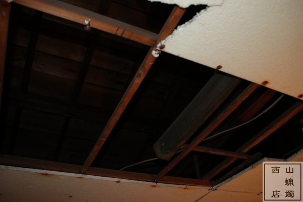 ycc7479 | アトリエetsuko field blog