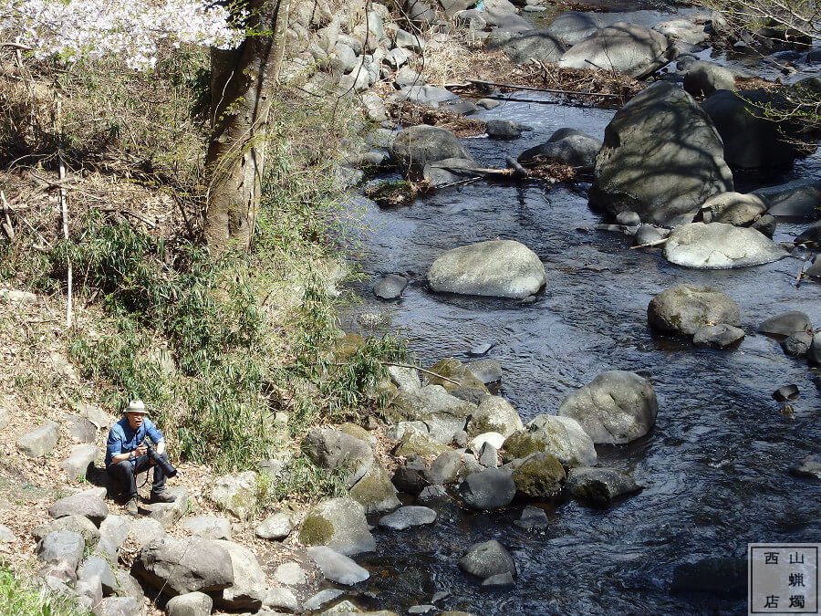 ycc8611 | etsuko field & 西山蝋燭工房