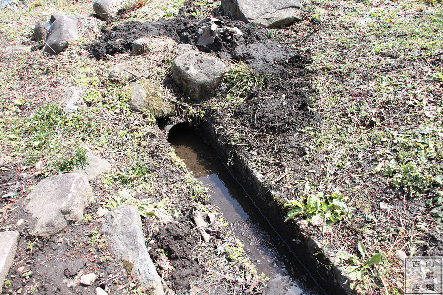 ycc9179 | etsuko field