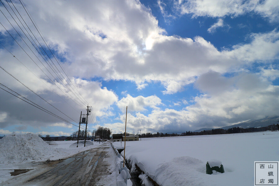 nv0259 | etsuko field