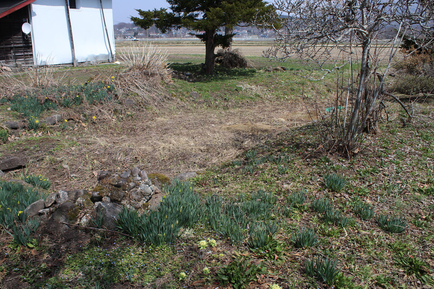 mv00547 | etsuko fieldの歳時記