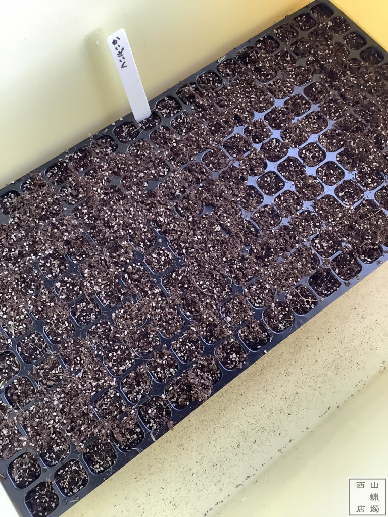 GWの営業案内 | etsuko field