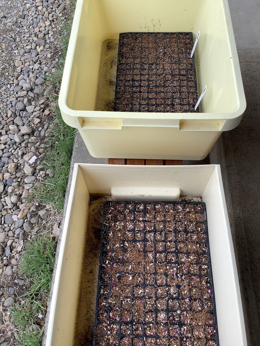 GWの営業案内 | etsuko field