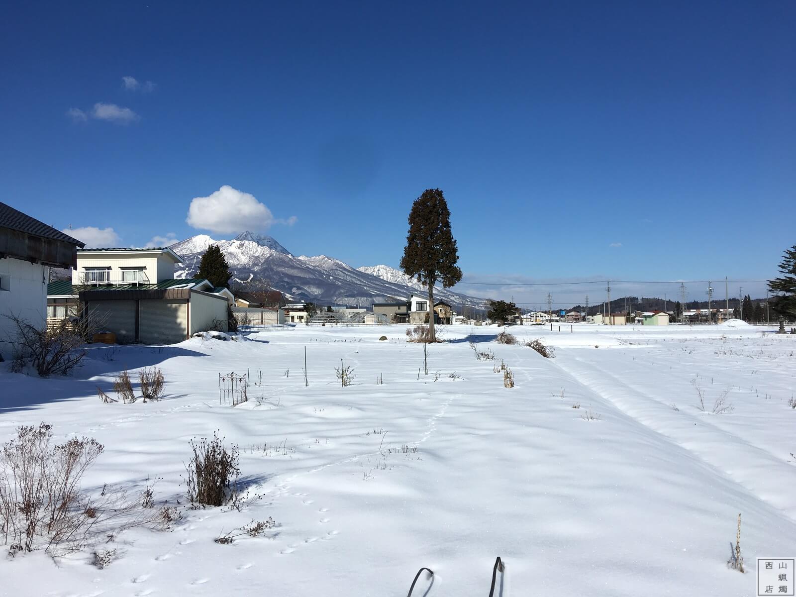 2023年も宜しくお願い致します！ | etsuko field