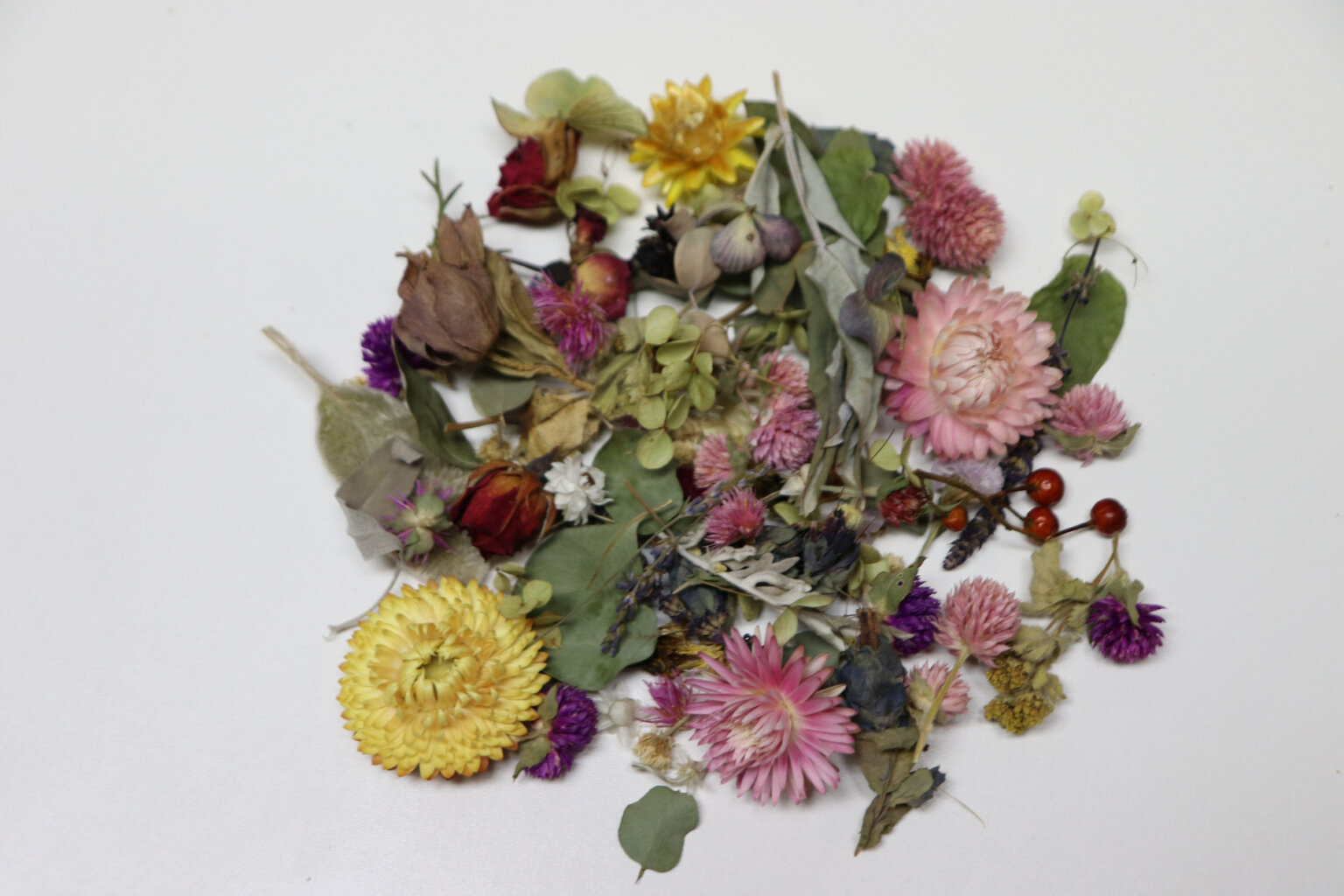 ドライフラワー発売中☆ | etsuko field