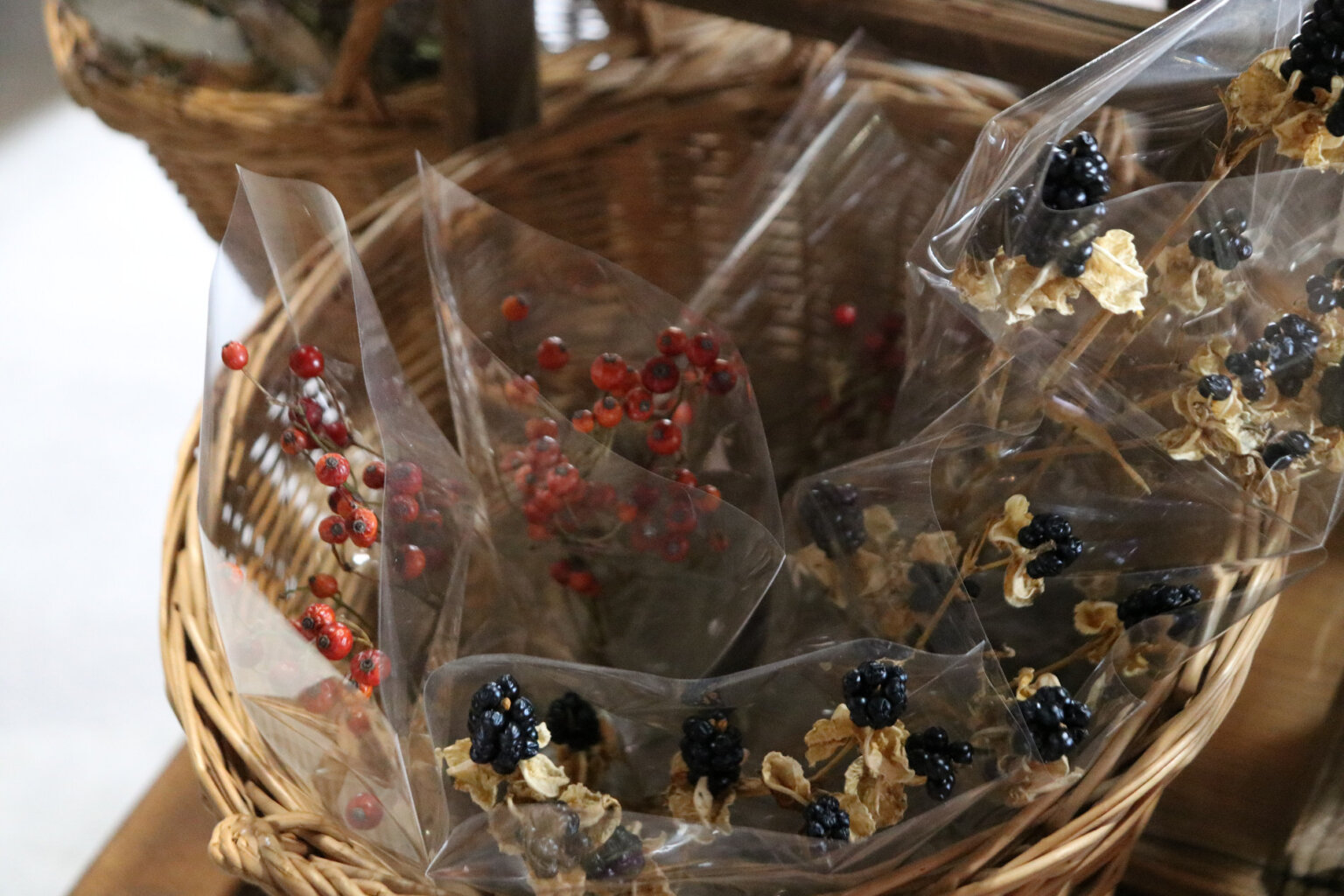 ドライフラワー発売中☆ | etsuko field