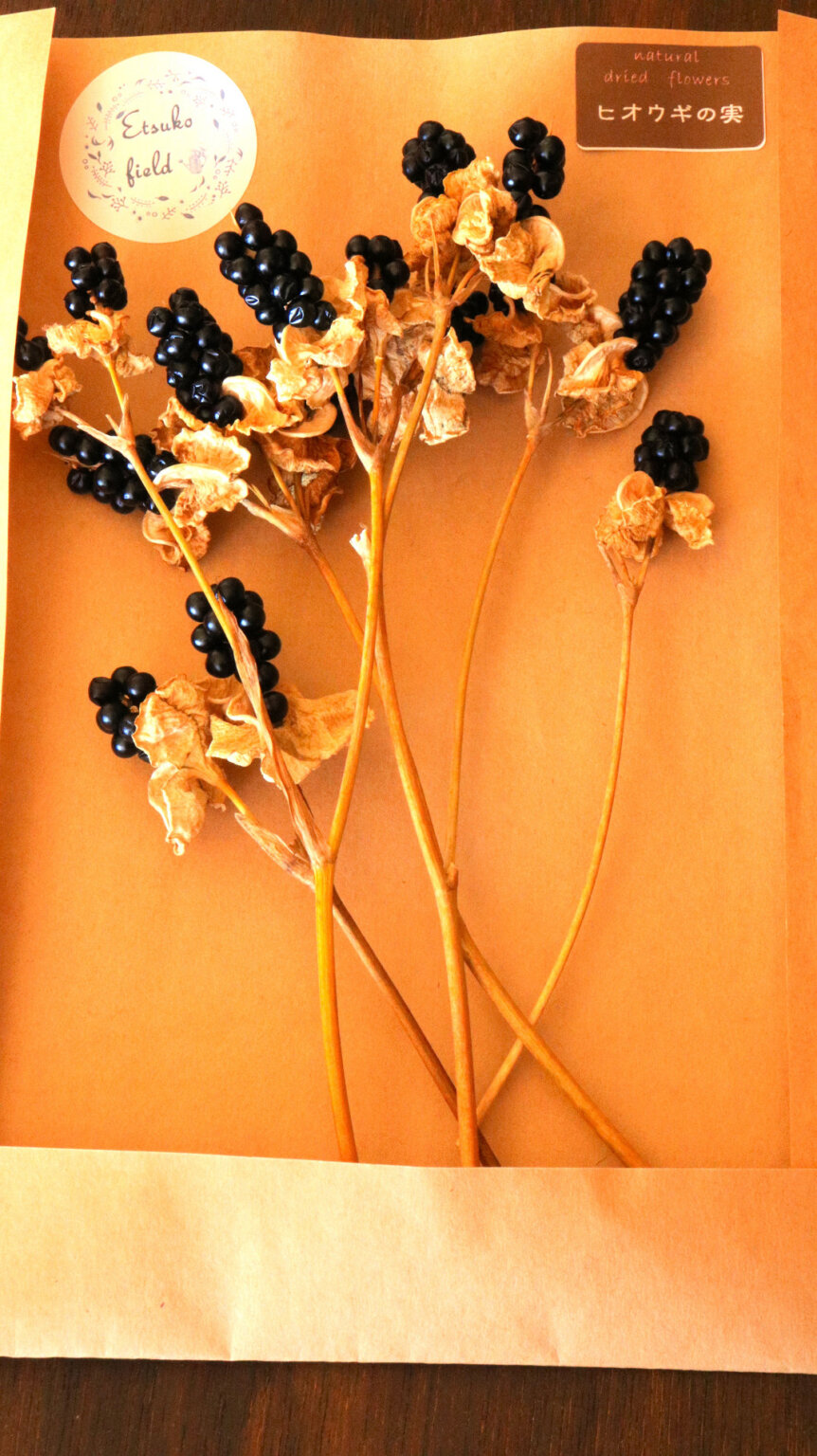 数量限定ドライフラワーパック | etsuko field