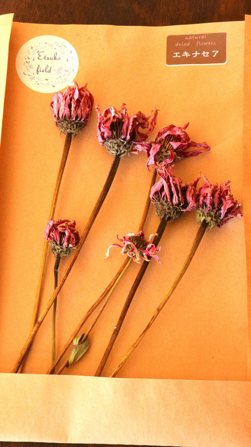 数量限定ドライフラワーパック | etsuko field